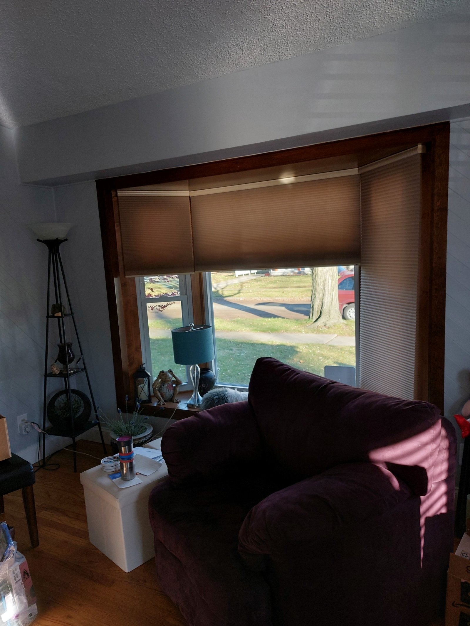 Cellular/Honeycomb Shades - Home of The Blinds